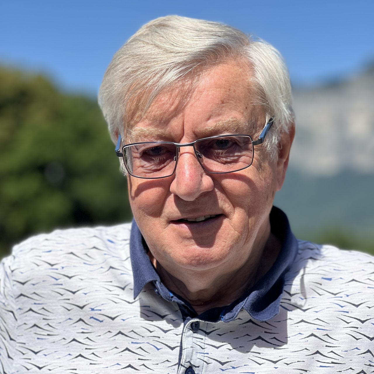 Patrick Liaudet | L'ombre de l'Histoire